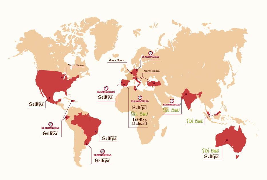 El Monaguillo: Empresa Líder en Dátiles y Frutos Secos